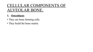ALVEOLAR BONE.pptx. to all dental hygiene | PPTX
