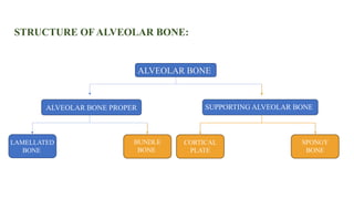 ALVEOLAR BONE and residual ridge resorption.pptx