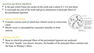 ALVEOLAR BONE and residual ridge resorption.pptx