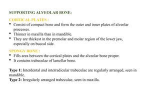 ALVEOLAR BONE and residual ridge resorption.pptx