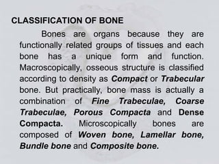 Alveolar Bone basic terminologies and concept.ppt