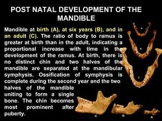 Alveolar Bone basic terminologies and concept.ppt