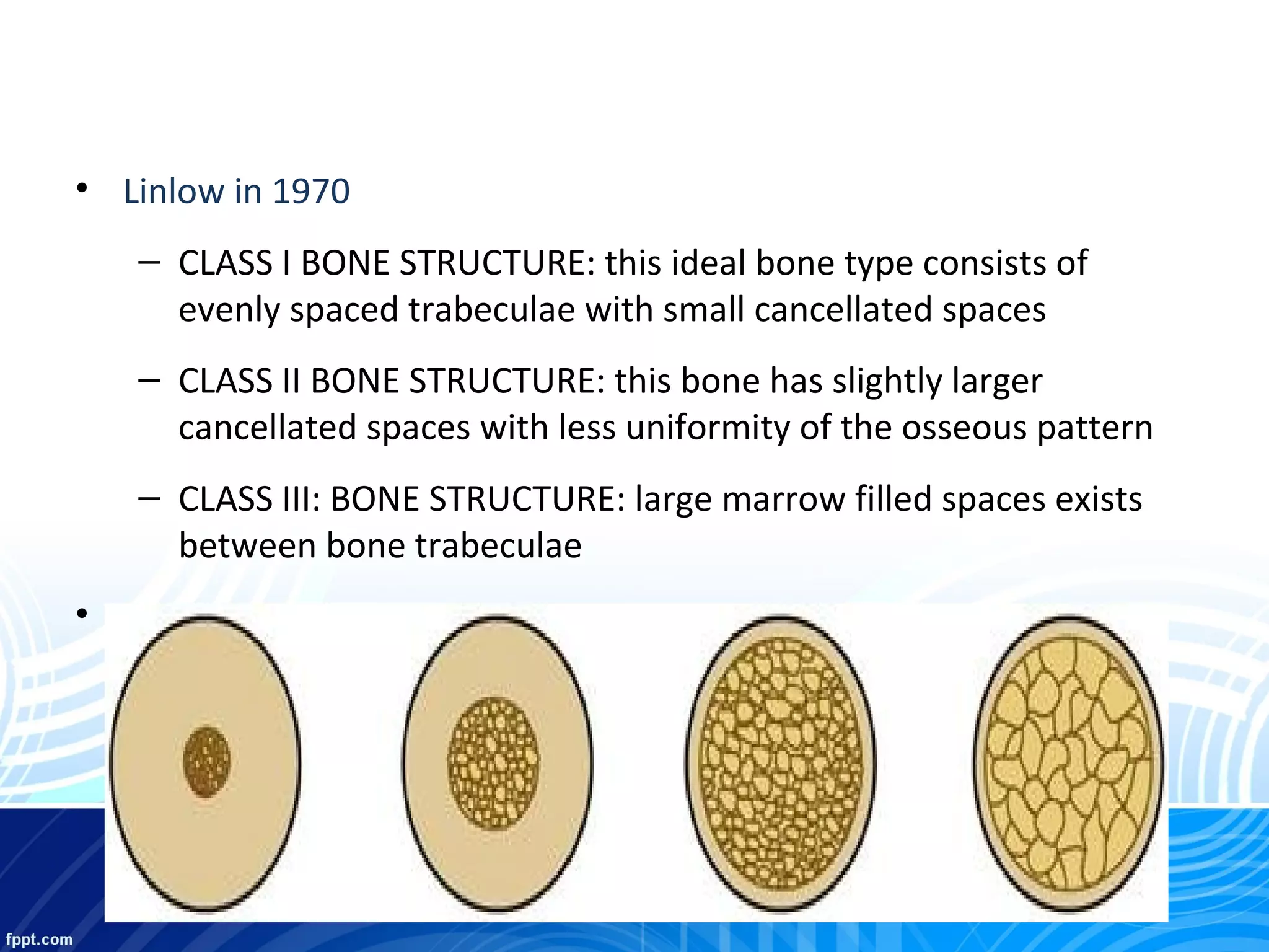 Alveolar bone in health | PPT