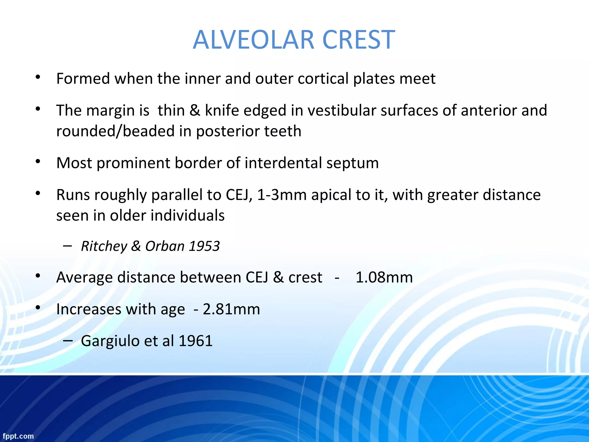 Alveolar bone in health | PPT