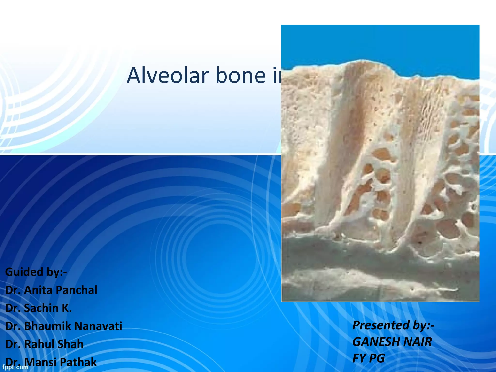 Alveolar bone in health | PPT