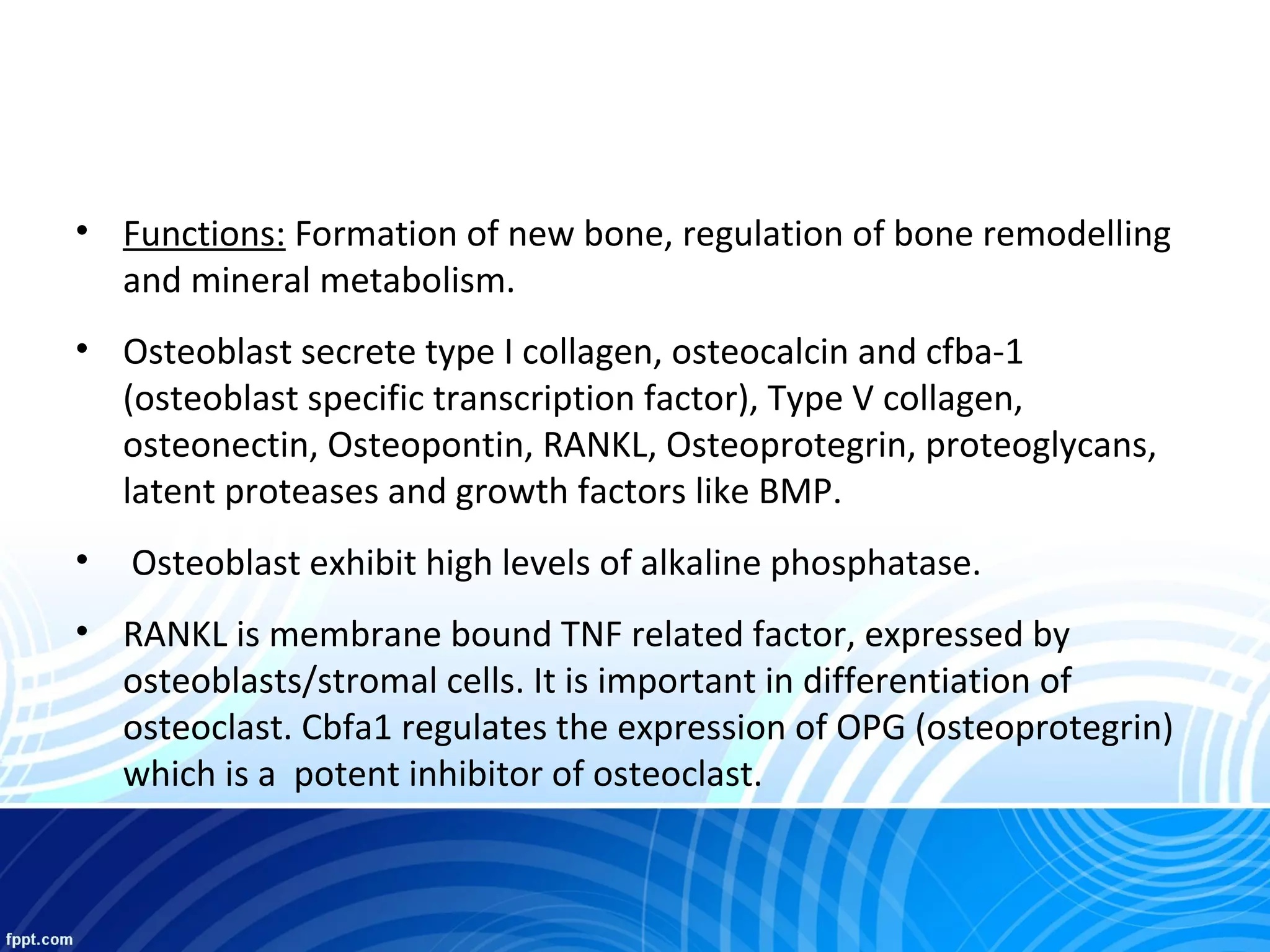 Alveolar bone in health | PPT