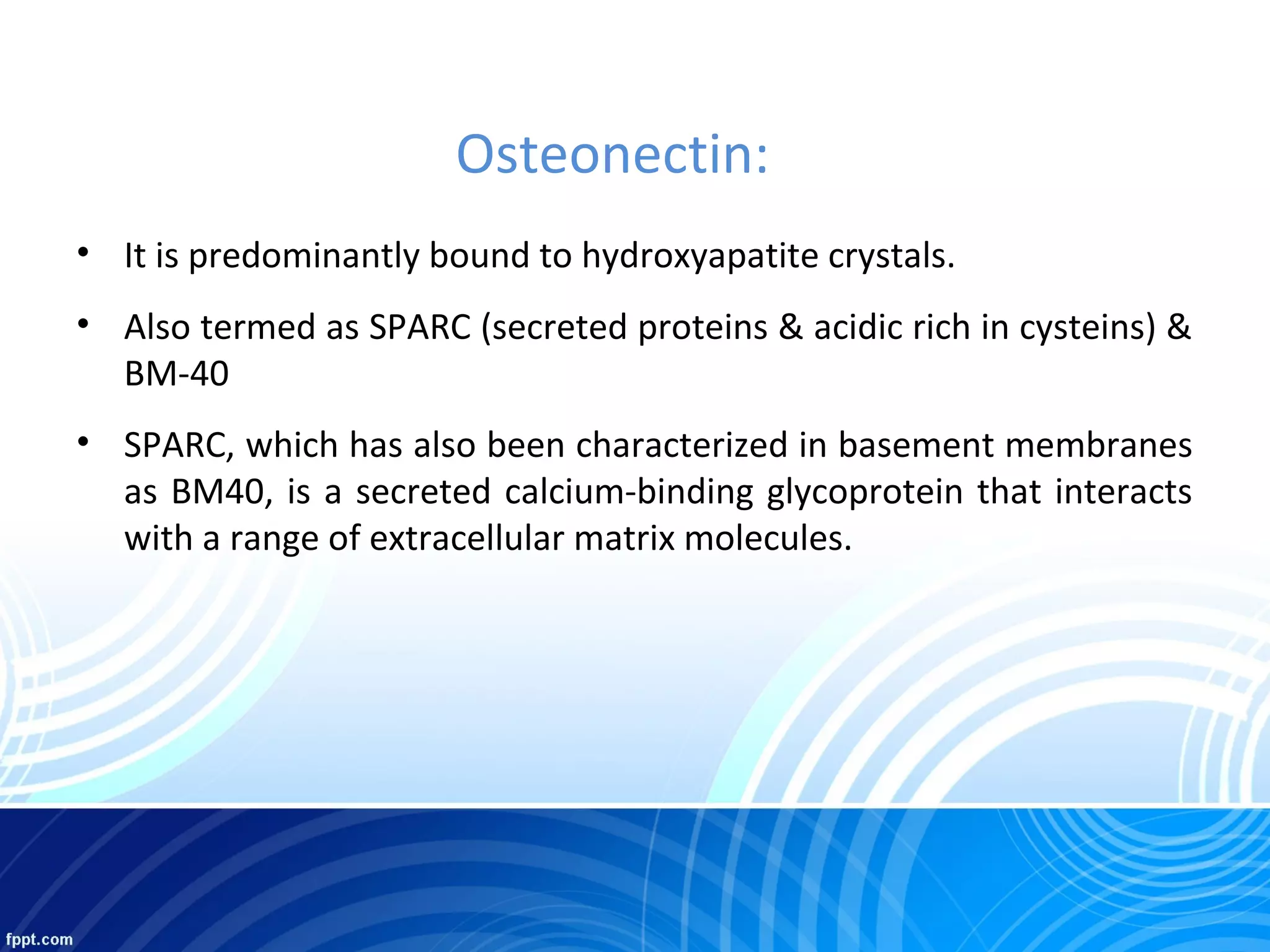 Alveolar bone in health | PPT