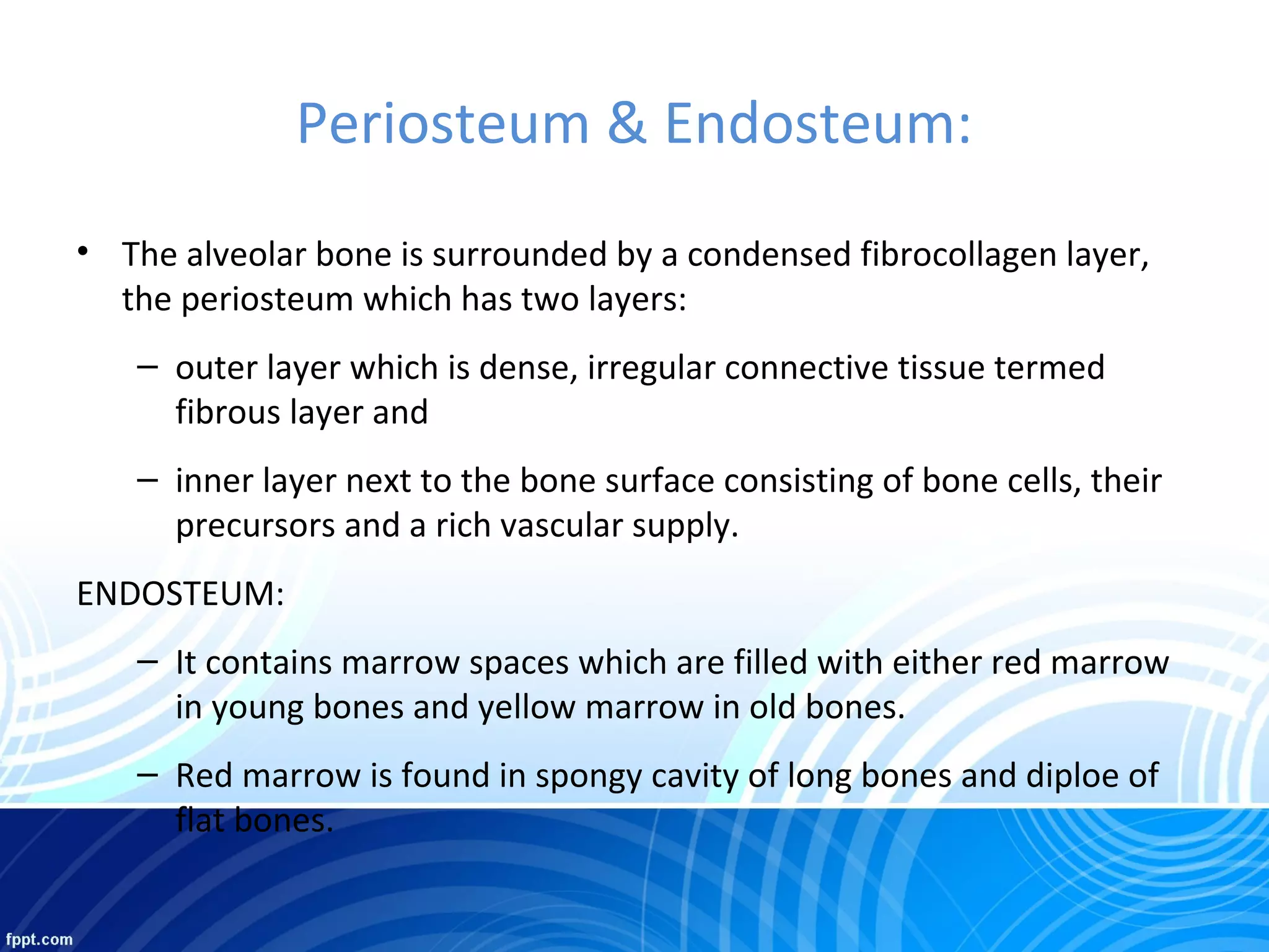 Alveolar bone in health | PPT
