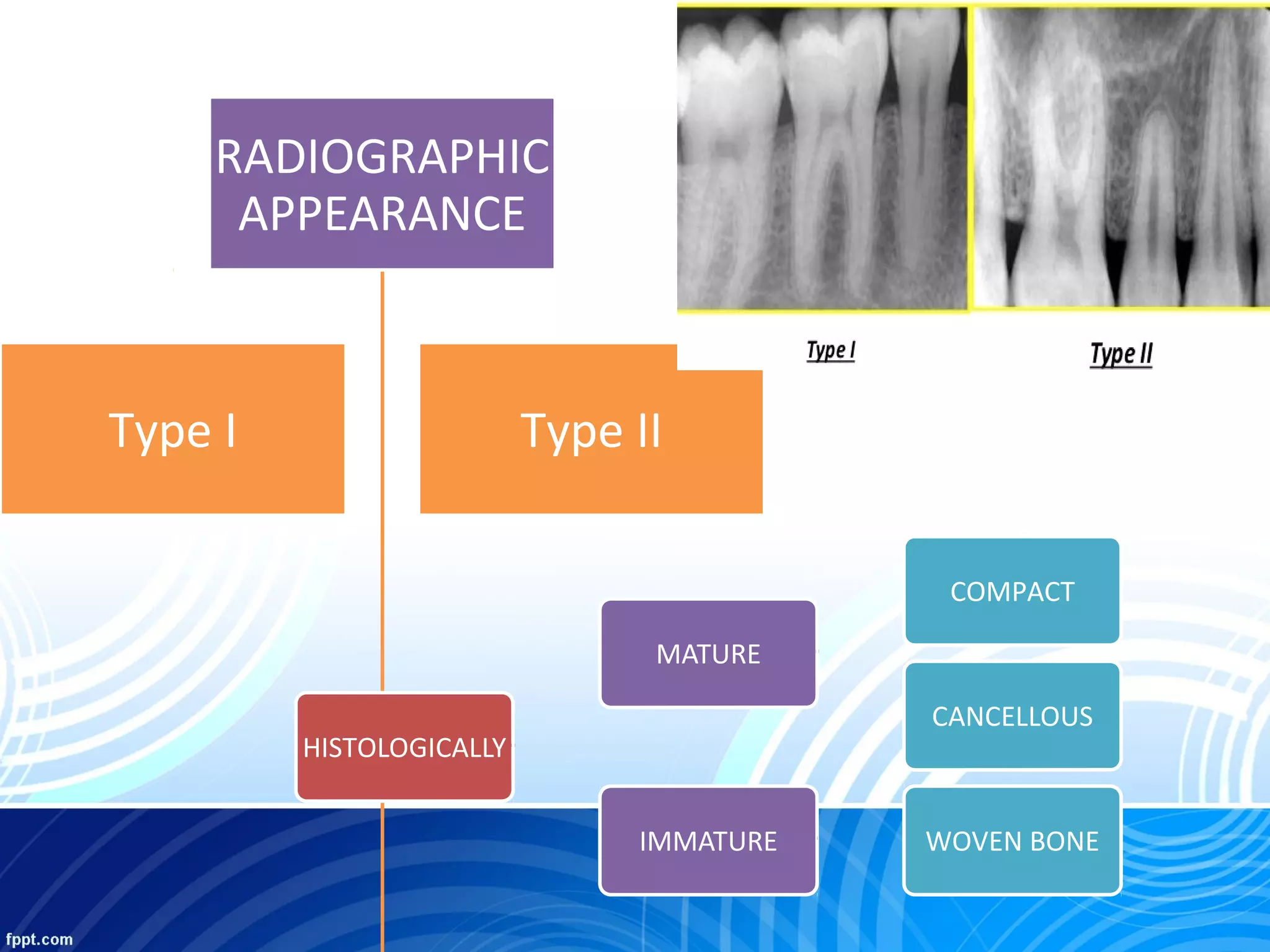 Alveolar bone in health | PPT