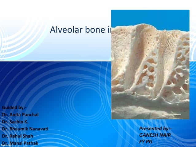 Alveolar bone in health | PPT