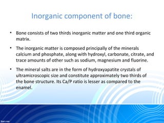 Alveolar bone in health | PPT