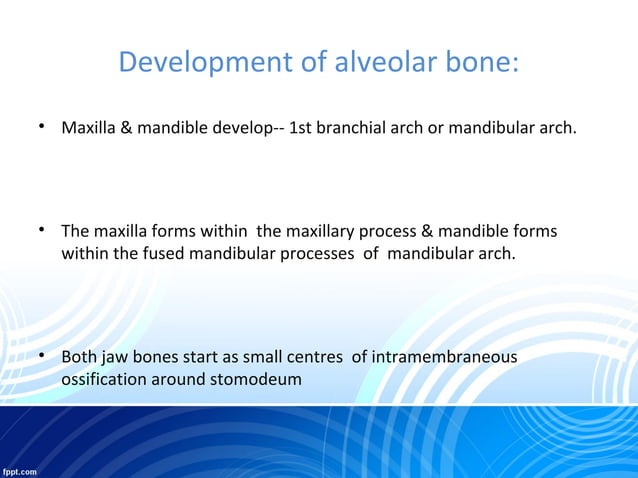 Alveolar bone in health | PPT