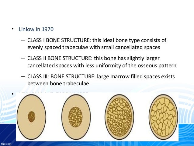 Alveolar bone in health