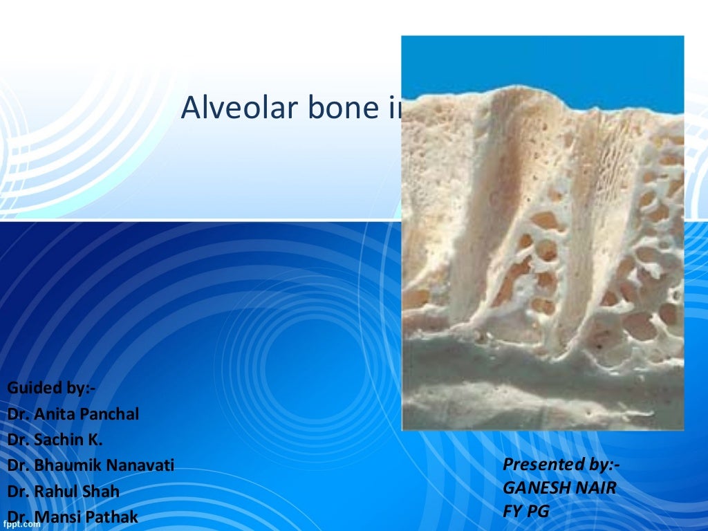 Alveolar bone in health
