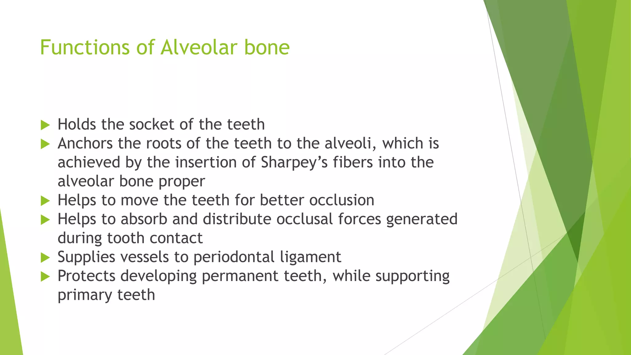 ALVEOLAR BONE-Dr.Mary Joseph.pptx | Bone and Joint Conditions | Diseases and Conditions