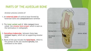 ALVEOLAR BONE-Dr.Mary Joseph.pptx | Bone and Joint Conditions ...