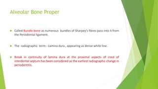 ALVEOLAR BONE-Dr.Mary Joseph.pptx
