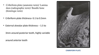 Alveolar bone - Dr. Smijal Gopalan Marath - Specialist Periodontist | PPTX
