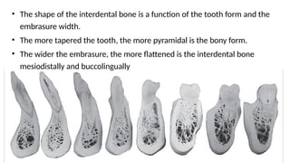 Alveolar bone - Dr. Smijal Gopalan Marath - Specialist Periodontist | PPTX