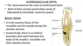 Alveolar bone - Dr. Smijal Gopalan Marath - Specialist Periodontist | PPTX