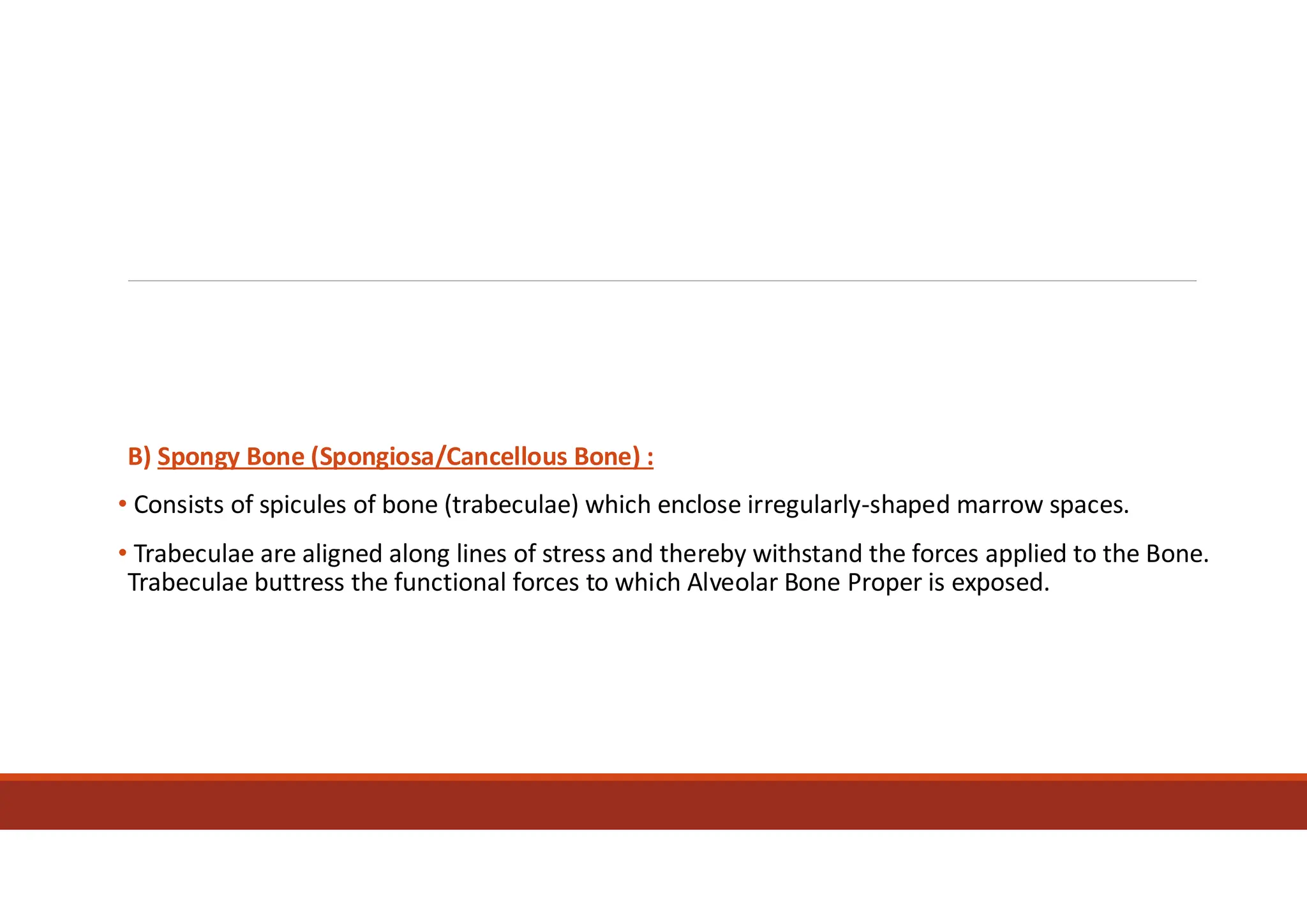 ALVEOLAR BONE (Part-1) : Definition, Classification, Development ...