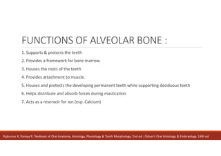 ALVEOLAR BONE (Part-1) : Definition, Classification, Development ...