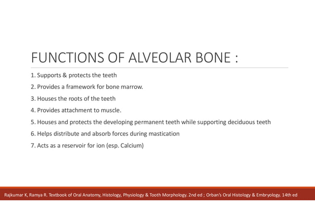 ALVEOLAR BONE (Part-1) : Definition, Classification, Development ...