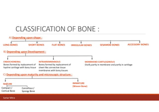 ALVEOLAR BONE (Part-1) : Definition, Classification, Development ...