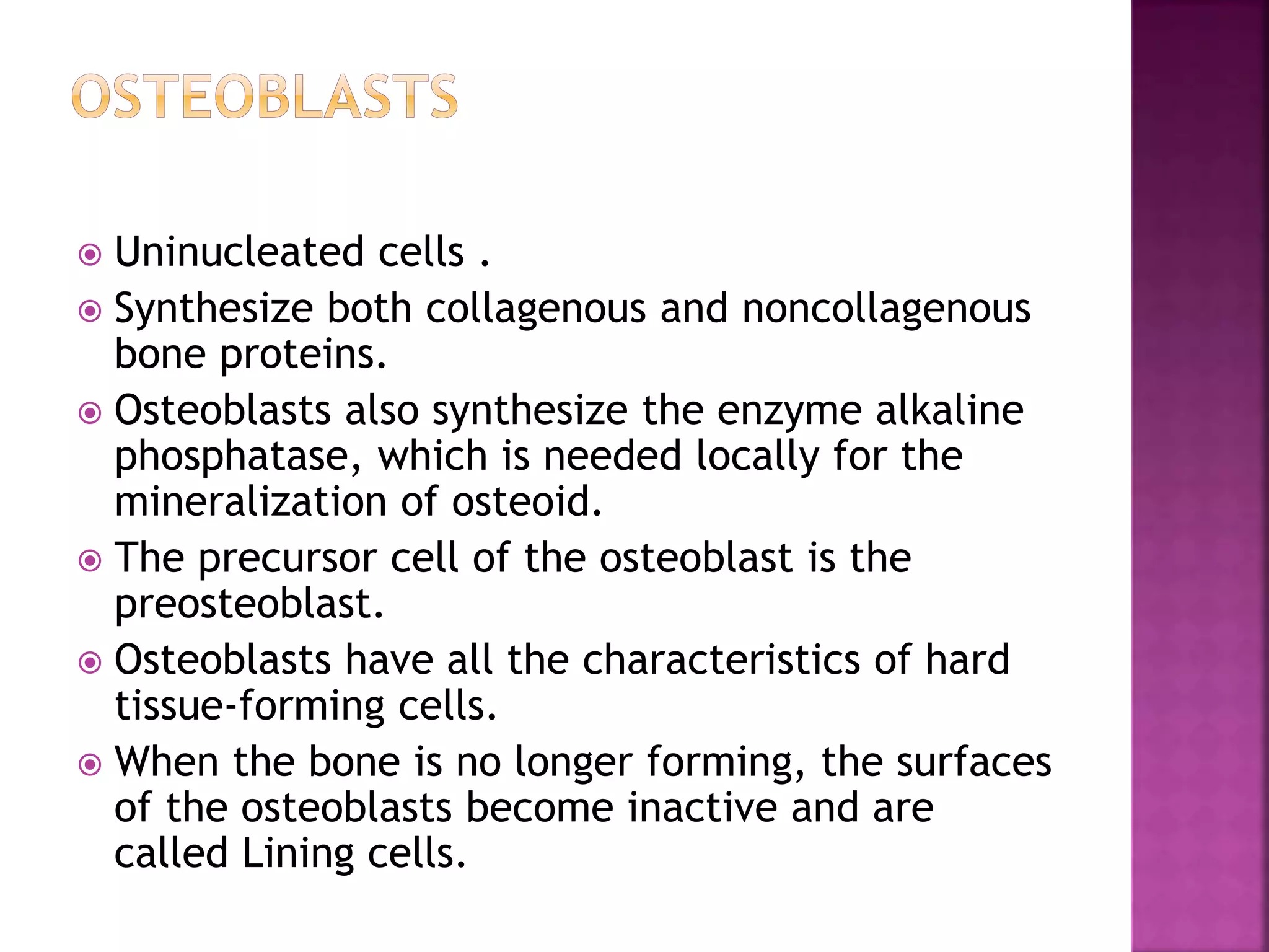 Alveolar bone perio. | PPTX