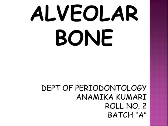 Alveolar bone perio. | PPTX | Bone and Joint Conditions | Diseases and Conditions