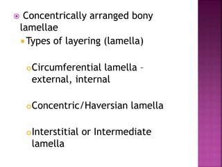 Alveolar bone perio. | PPTX