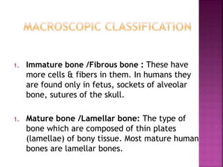 Alveolar bone perio. | PPTX