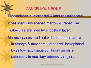 Alveolar bone praveen/ dental implant courses | PPT