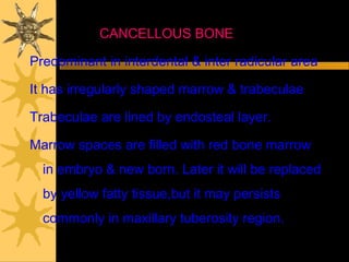 Alveolar bone / dental implant courses | PPT