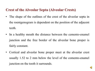 Alveolar bone 2 | PPT