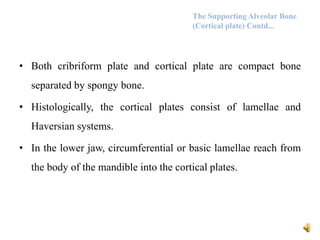 Alveolar bone 2 | PPTX