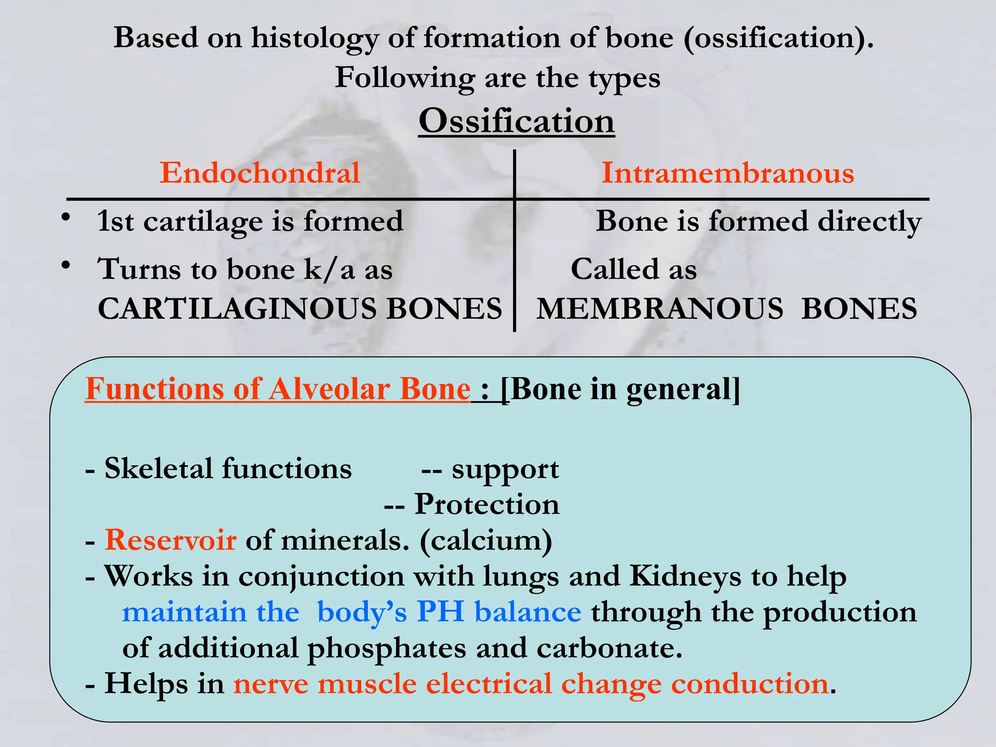 Alveolar Bone and prosthodontics relevance | PPT