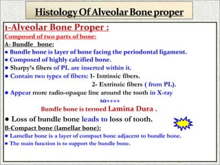 Alveolar bone dr. sherif hassan | PPTX