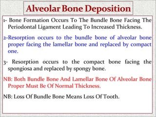 Alveolar bone dr. sherif hassan | PPTX