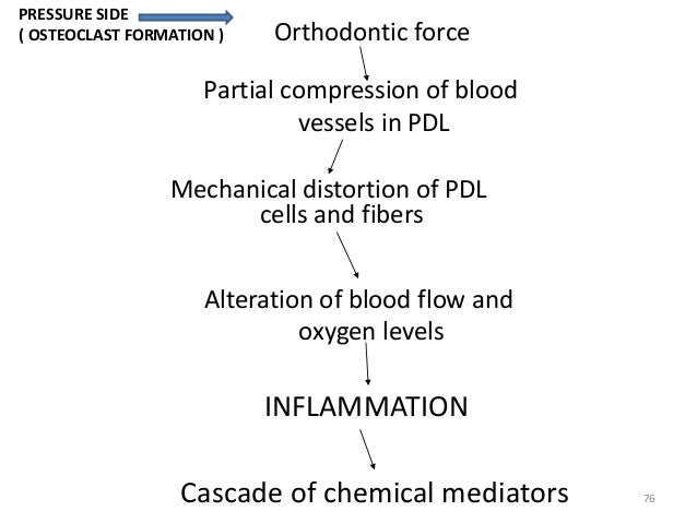 Alveolar dead space fraction calculation - niomrack