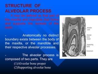ALVEOLAR BONE HISTOLOGY LECTURE FOR 1ST BDS STUDENTS | PPT