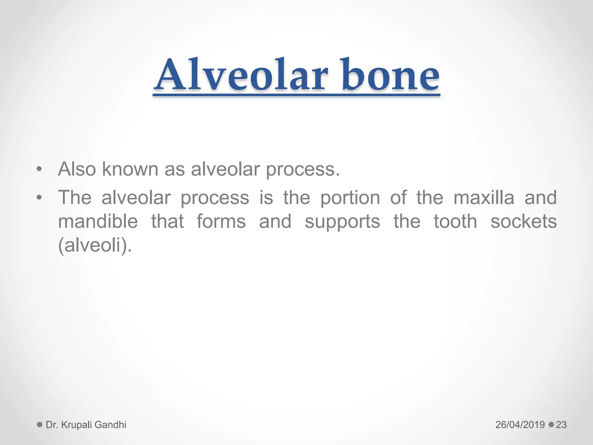 Alveolar bone in health | PPTX