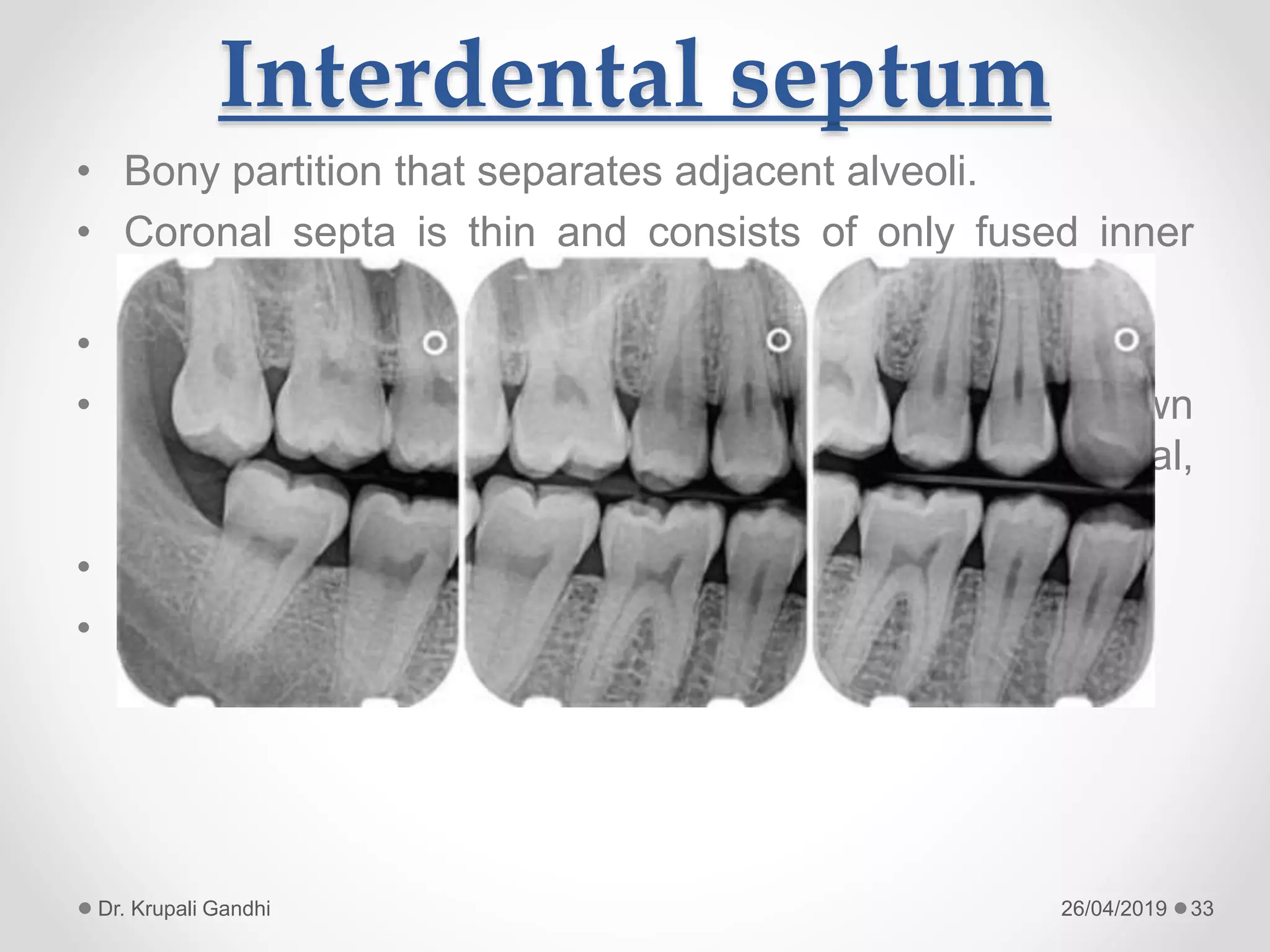 Alveolar bone in health | PPTX