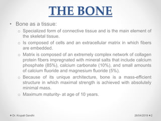 Alveolar bone in health | PPTX