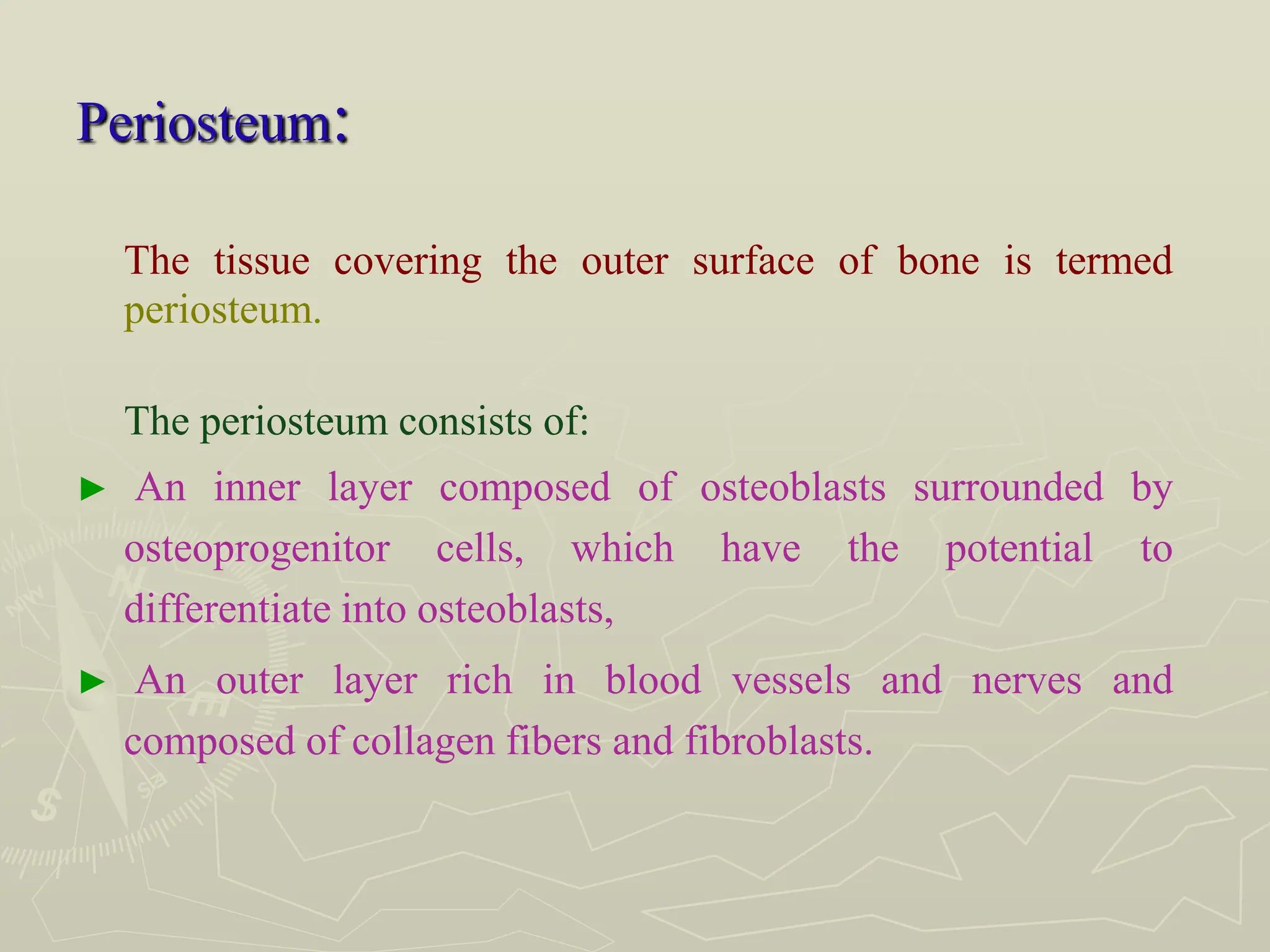 ALVEOLAR BONE IN HEALTH.ppt