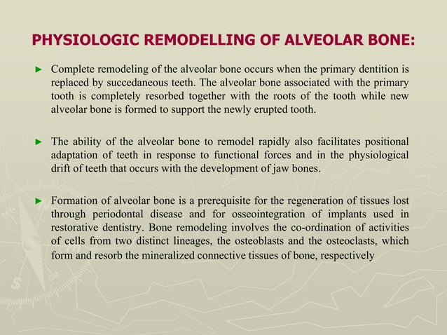 ALVEOLAR BONE IN HEALTH.ppt
