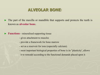 ALVEOLAR BONE IN HEALTH.ppt