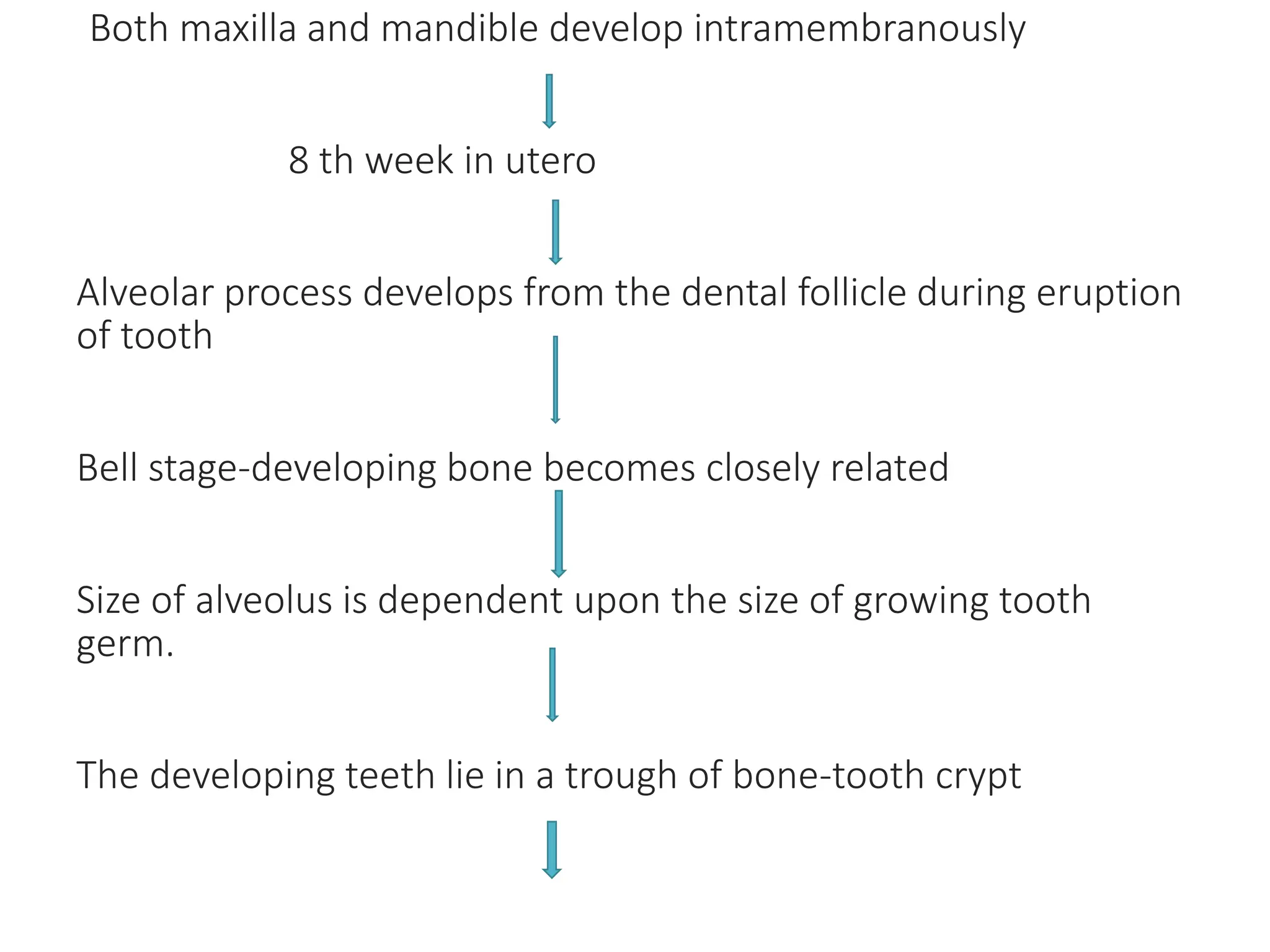 ALVEOLAR BONE IN HEALTH AND DISEASE [Autosaved].ppt