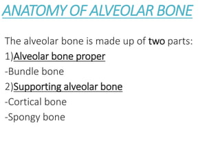 ALVEOLAR BONE IN HEALTH AND DISEASE [Autosaved].ppt