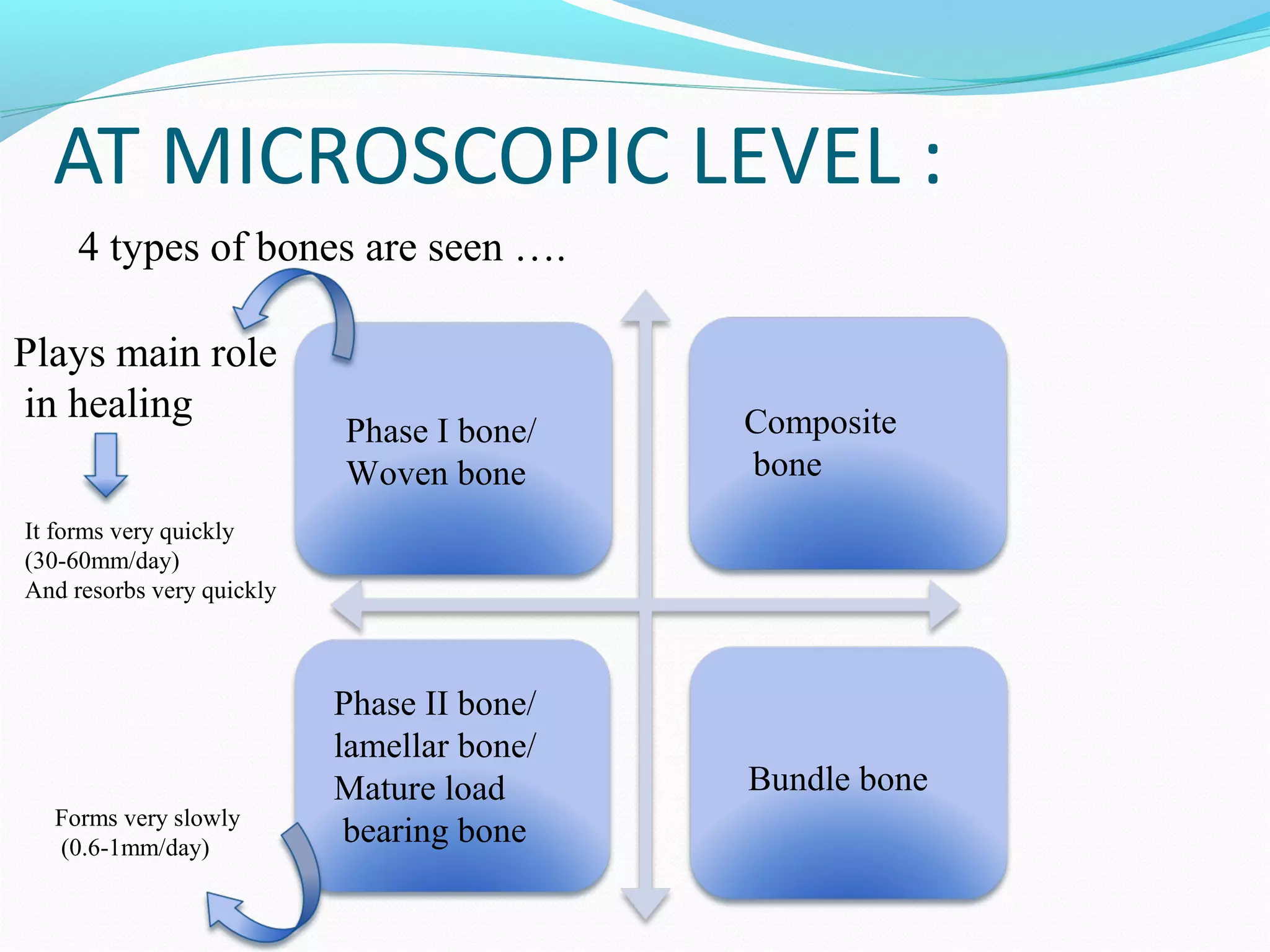 Alveolar bone in health and disease | PPT